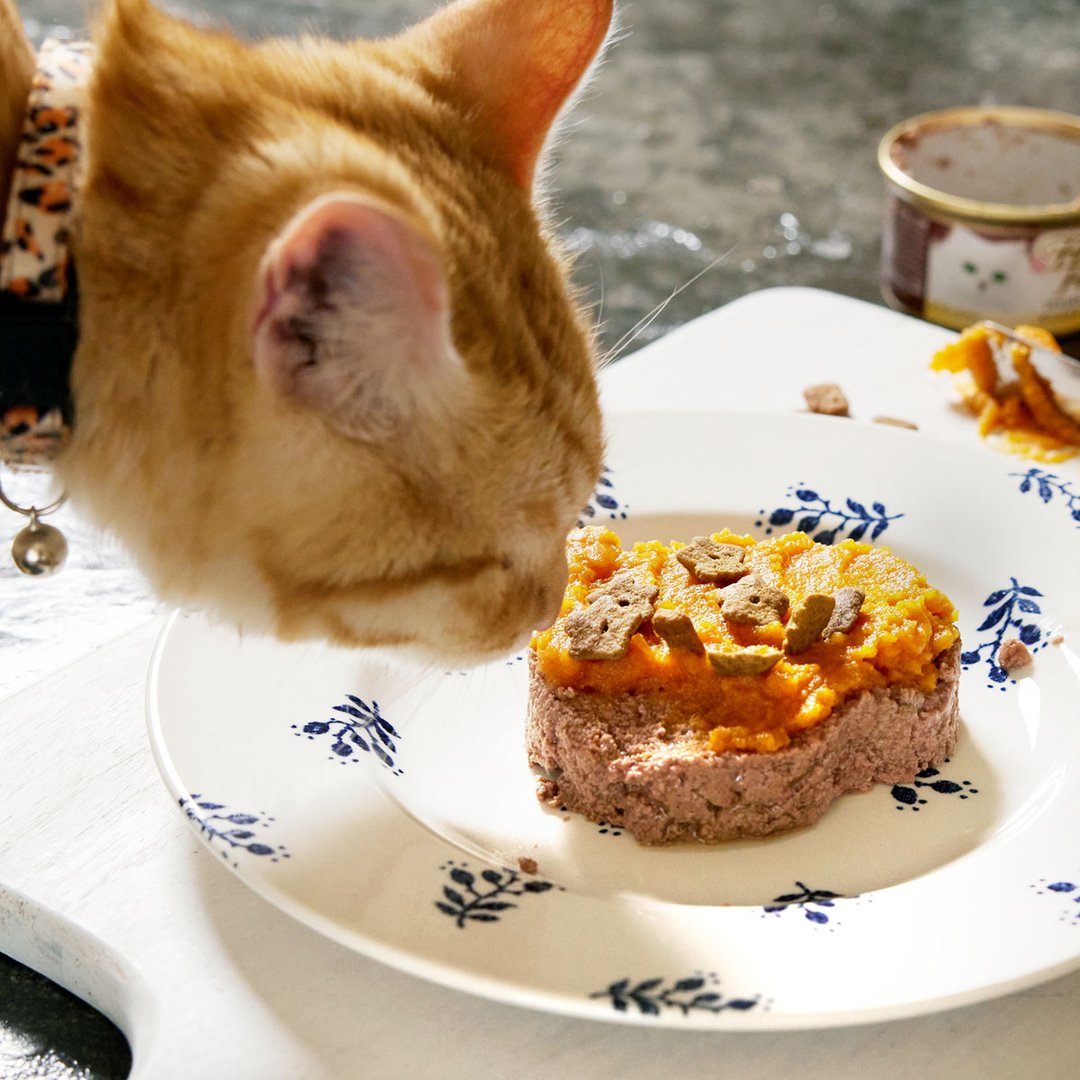 Pumpkin Paté for Cats | Safeway